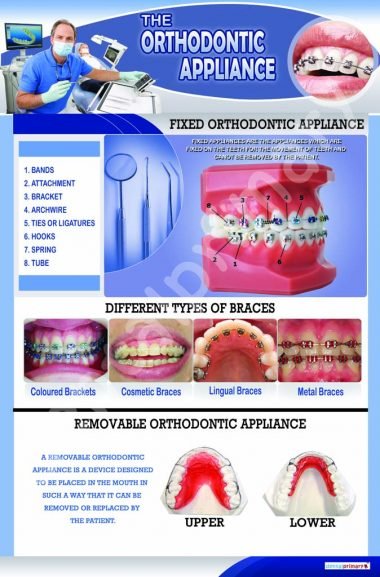 English Posters - Dental Primary